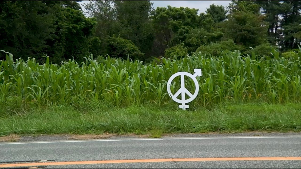 Sexhippies Drift Sexhippies